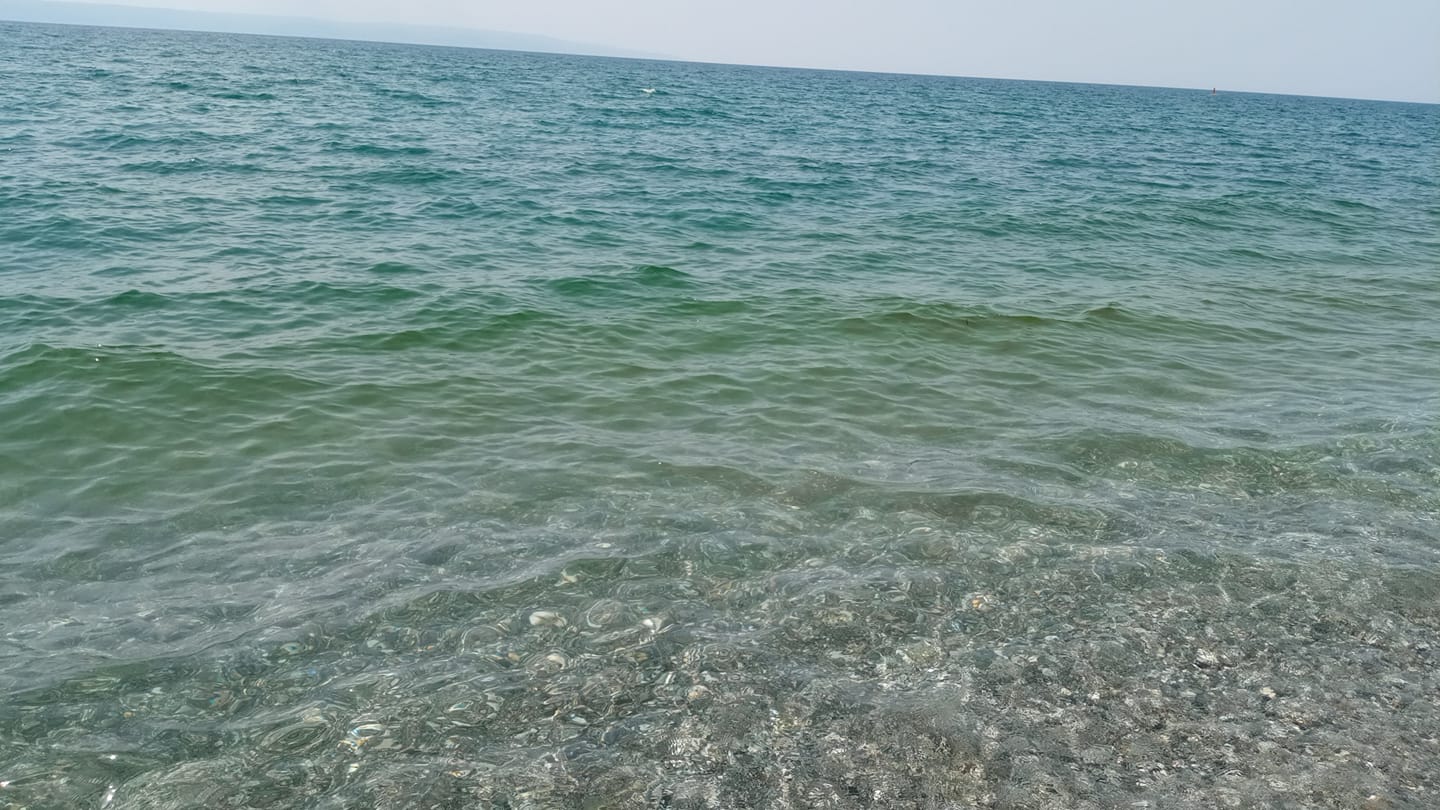 Riecco la "costa smeralda": da Lamezia a Falerna ritorna il mare verde ...