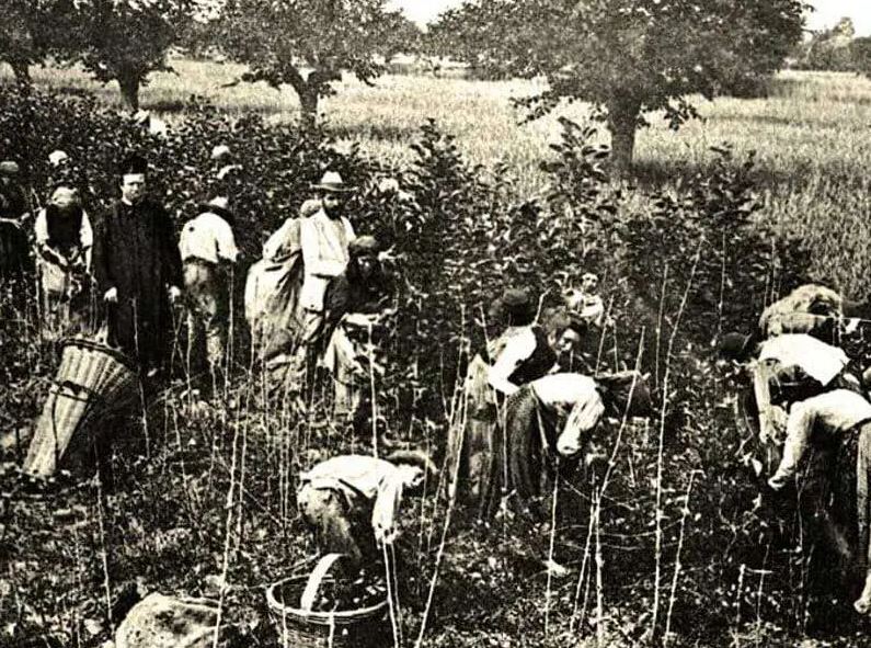 La ricchezza perduta, quando la Calabria era la terra della seta