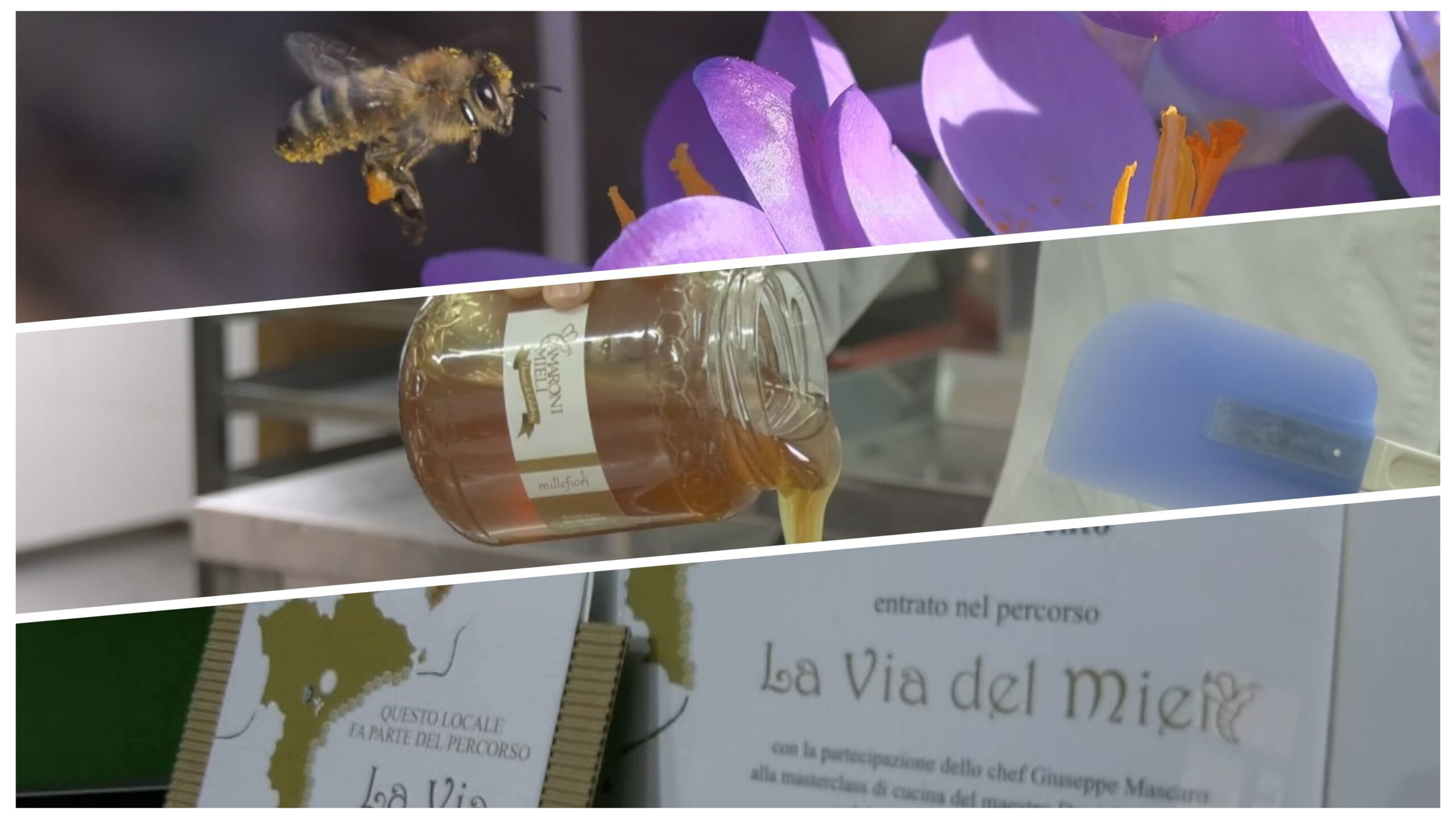 Amaroni e «i dolci itinerari della Via del Miele»