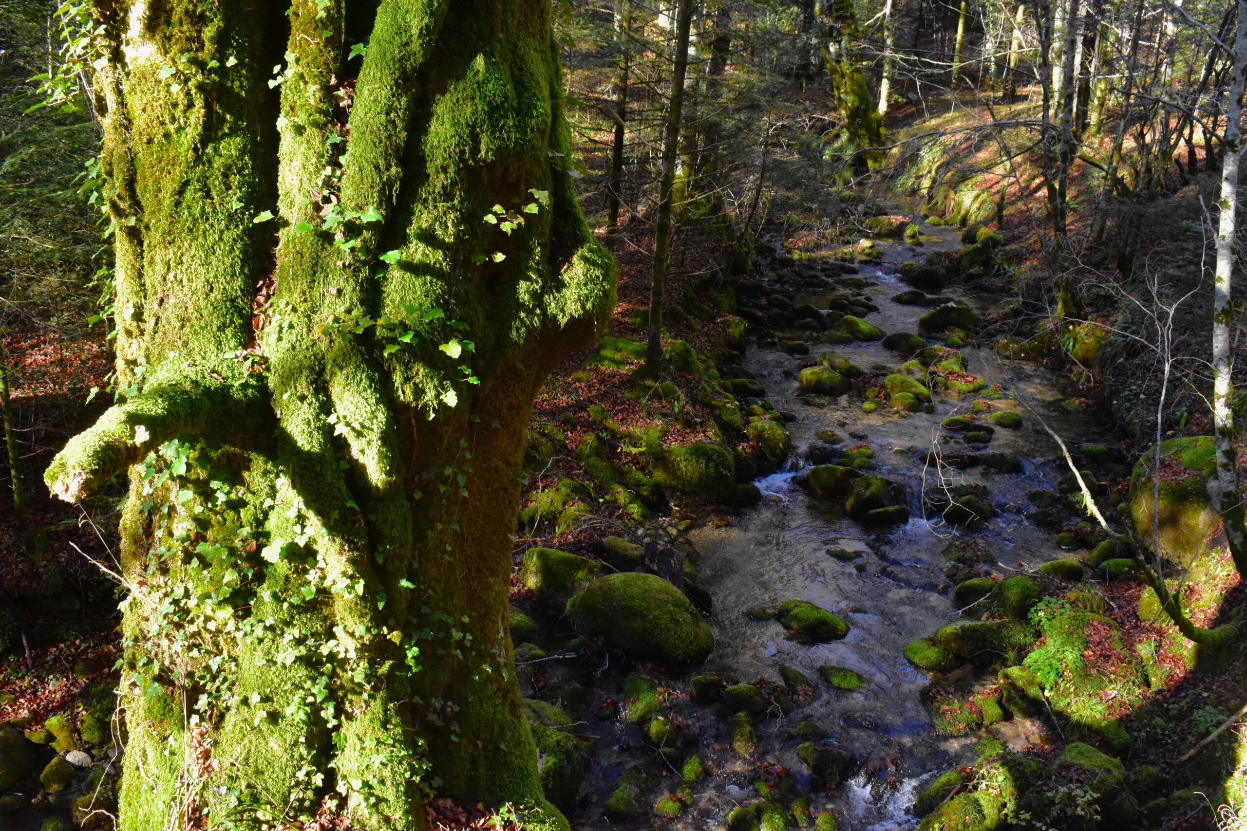 Valle del T. Mula: tutti i simboli del numinoso in un sol luogo