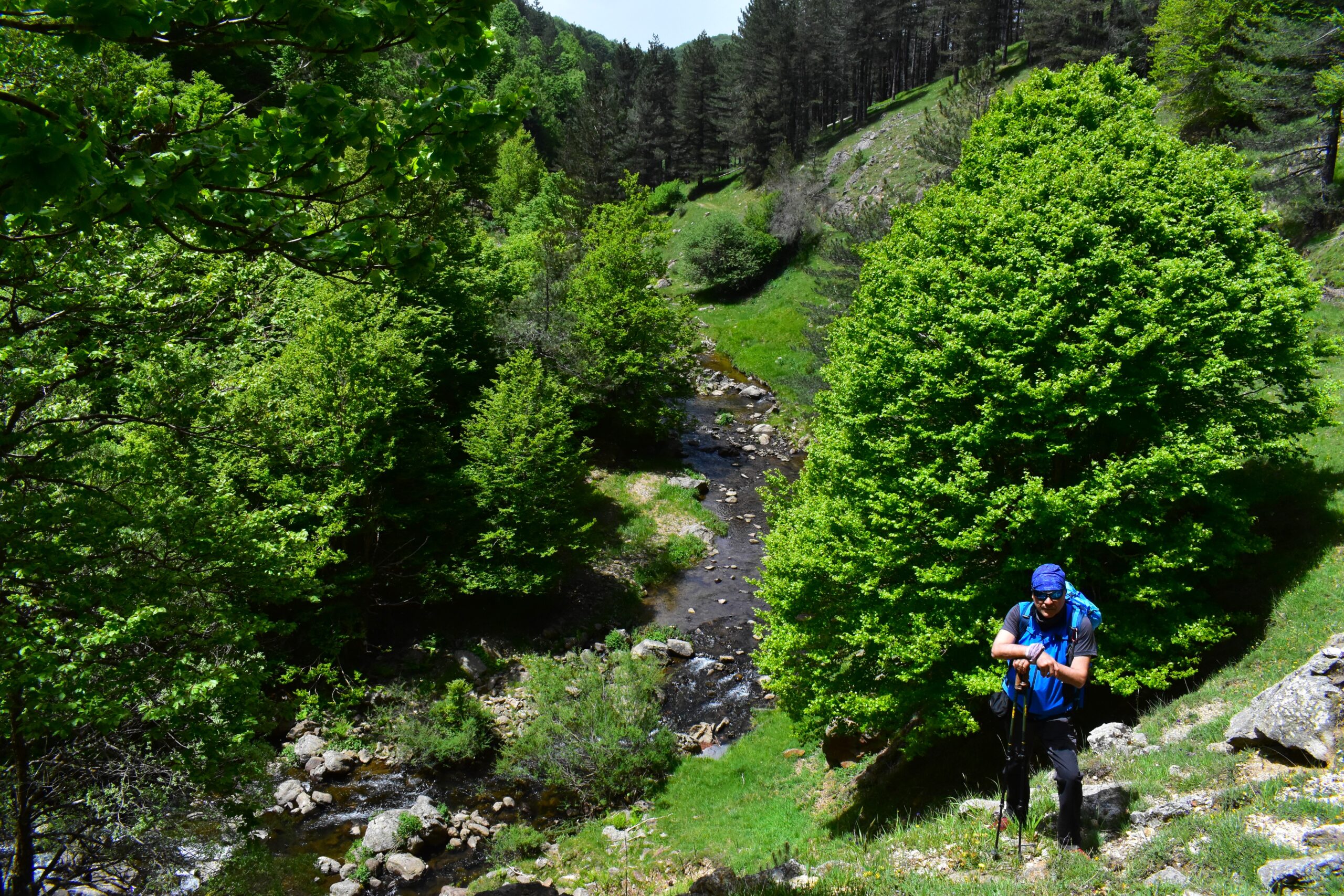 Alta Val di Tacina: l’incanto del mondo - VIDEO