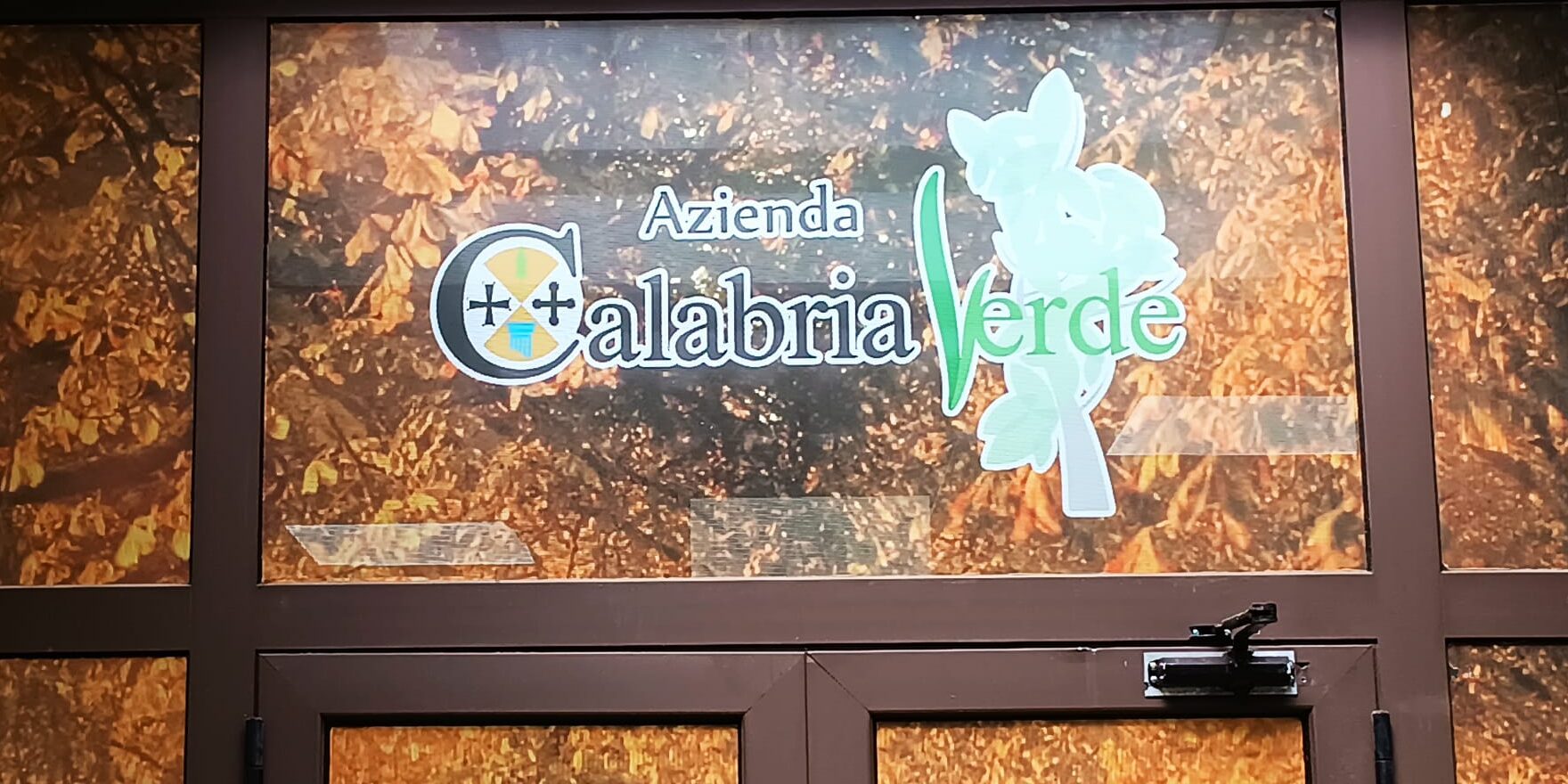 Calabria Verde, la Regione cerca candidati per l’incarico di direttore ...
