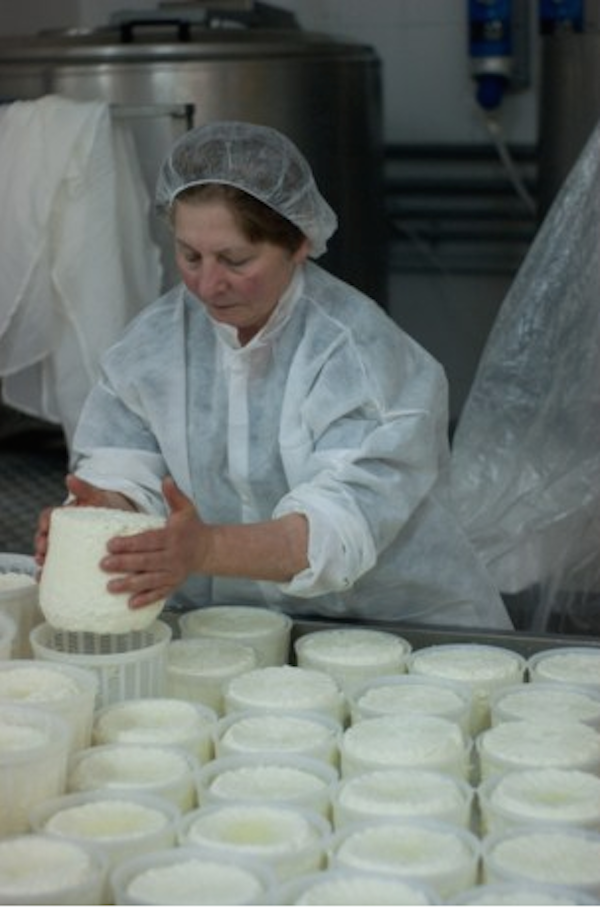 Otto marzo in Calabria con 15 donne che stanno facendo crescere la ...