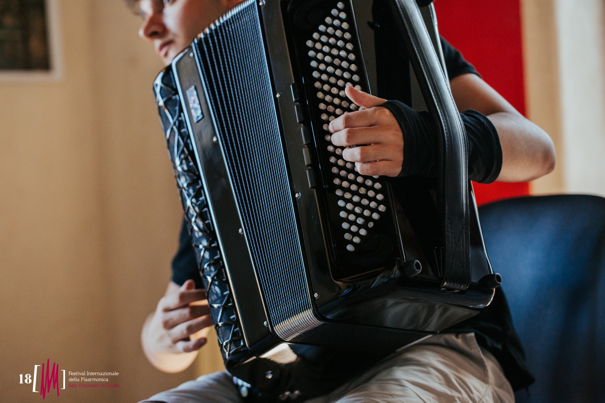 Il Festival Internazionale della Fisarmonica di San Vincenzo La Costa ...