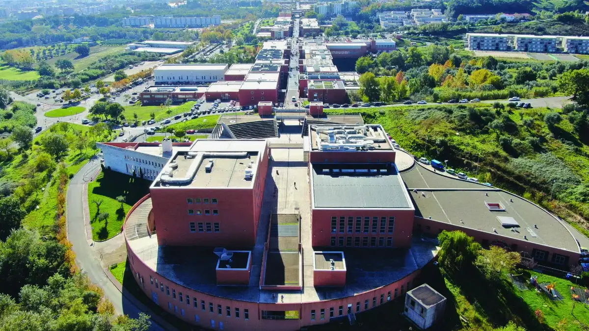 Salute mentale all’università, l’Unical capofila in Italia