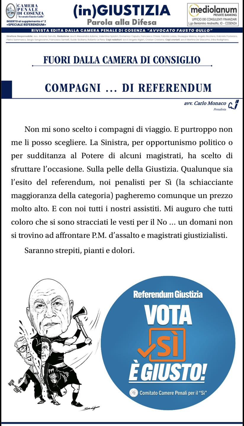 Irto (Pd): «Inquietante la vignetta della Camera penale di Cosenza». La ...